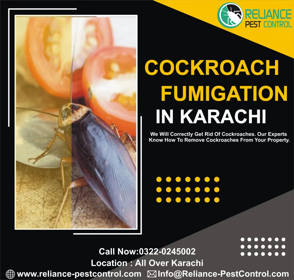 cockroaches fumigation in karachi – Blue Ground Game
